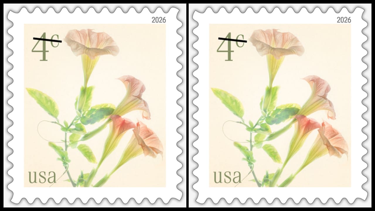 USPS to release a 4-cent stamp - Angel’s Trumpets is the latest issue ...